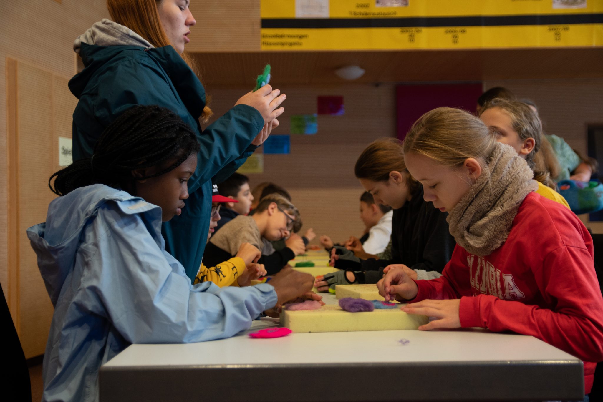 neue Blühfläche an der Sonnenlugerschule – Gemeinschaftsschule