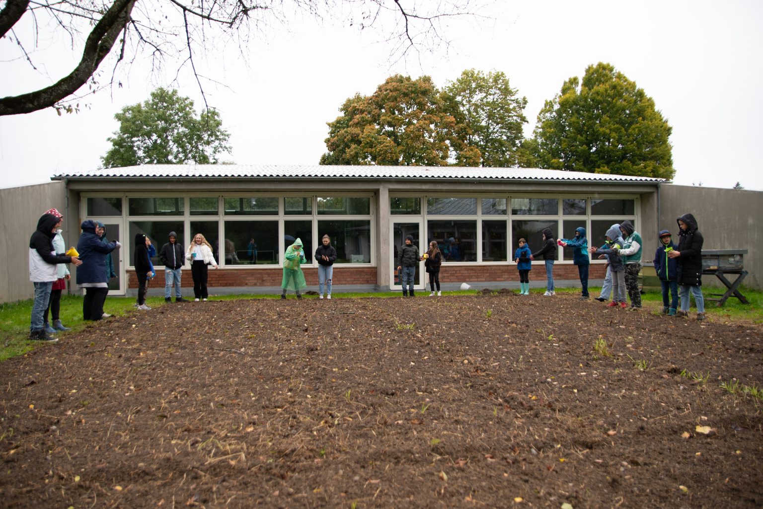 neue Blühfläche an der Sonnenlugerschule – Gemeinschaftsschule