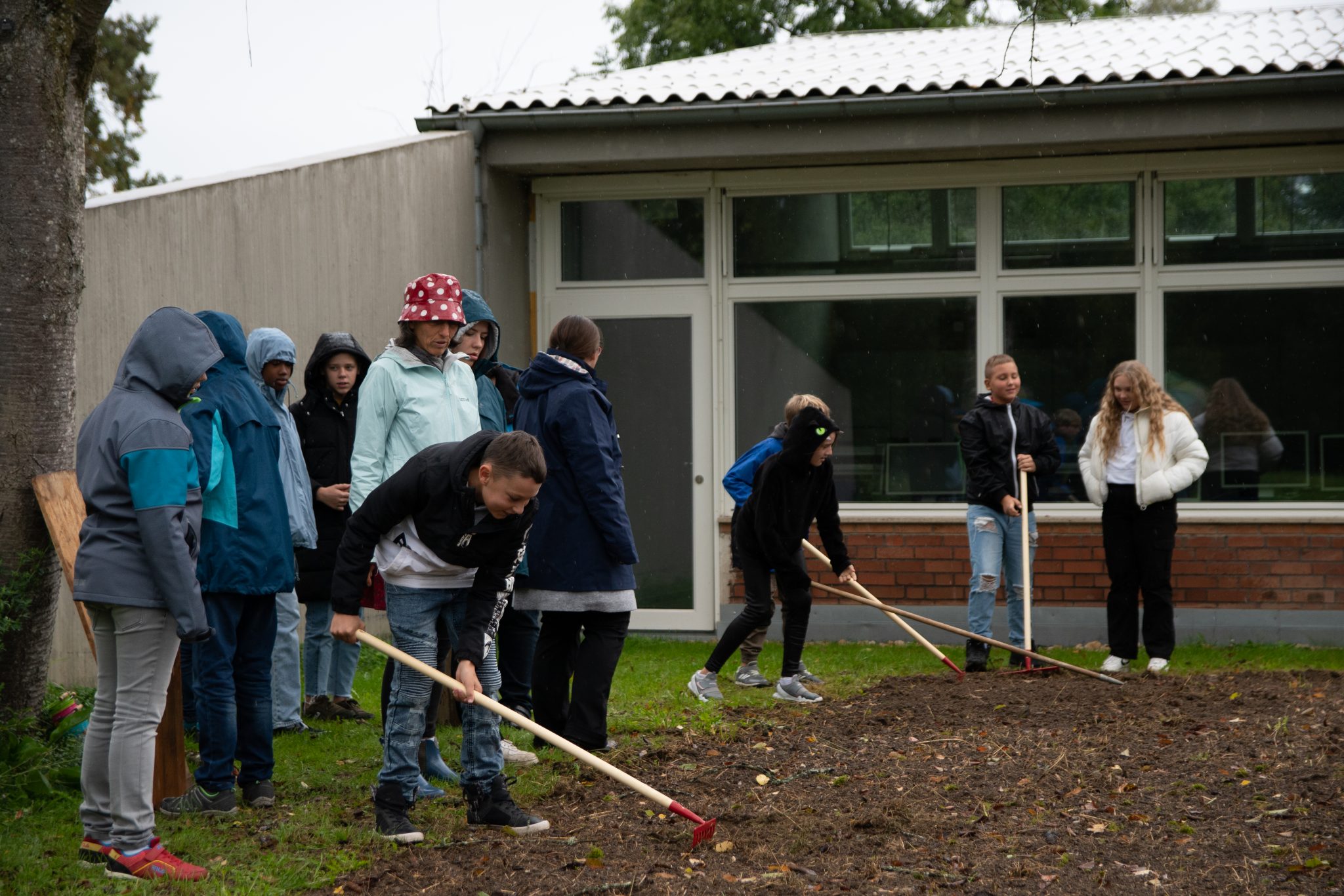 neue Blühfläche an der Sonnenlugerschule – Gemeinschaftsschule